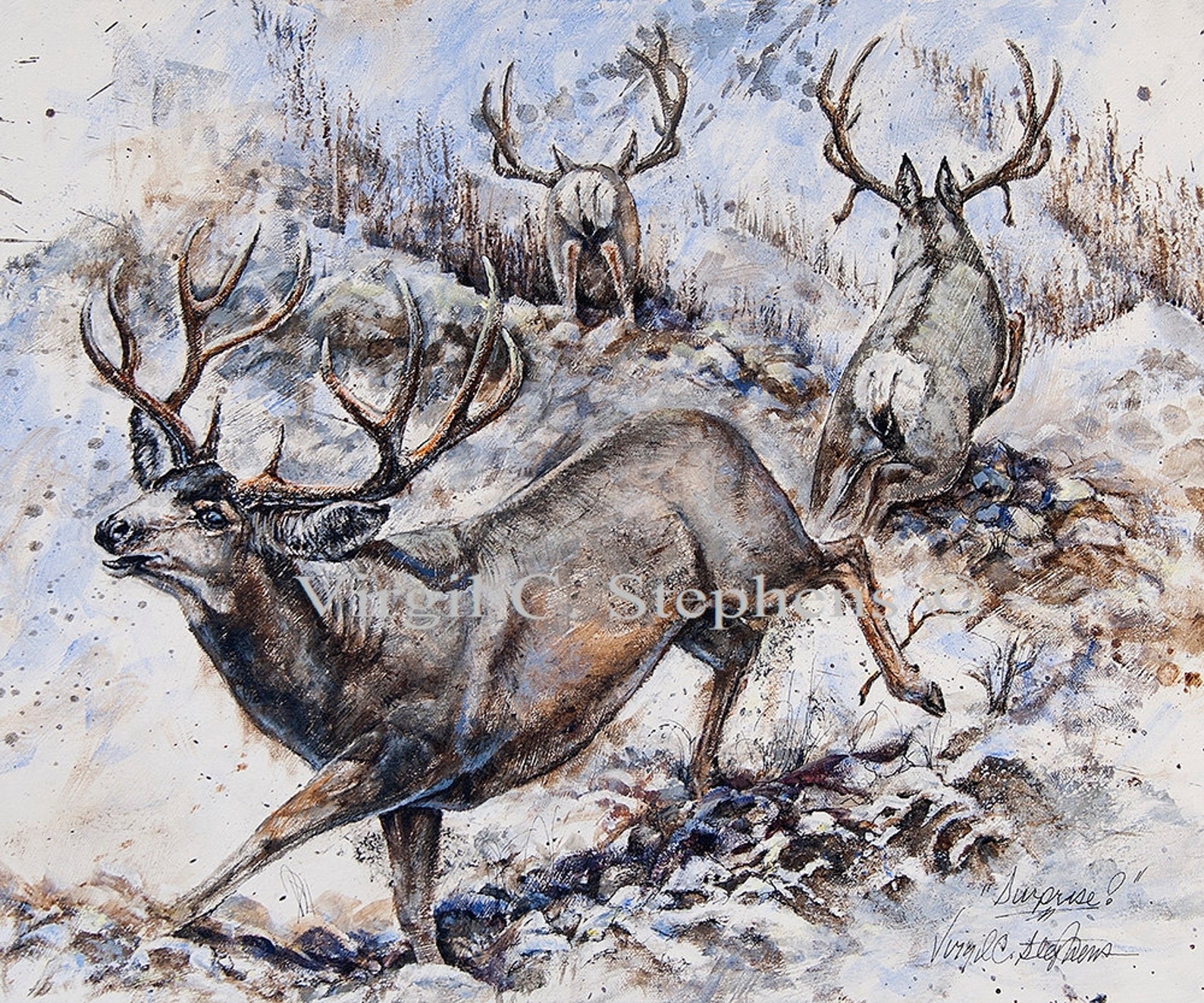 Deer Art, Surprise!, Giclee Print of a Bunch of Mule Deer That Just Got ...