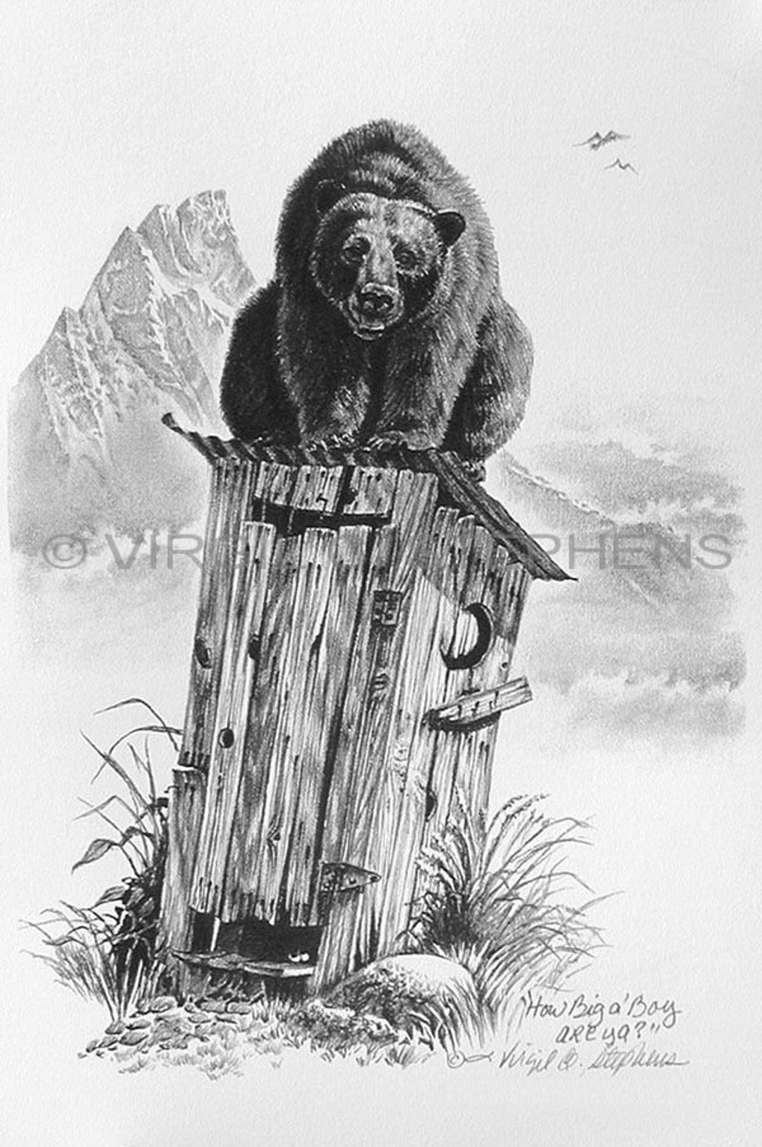 Outhouse Art, How Big A Boy Are Ya, Outhouse Drawing of a Bear on an ...