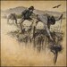 Saddle Bronc, Drawing of a Rodeo Cowboy Riding a Bronc at the Rodeo ...