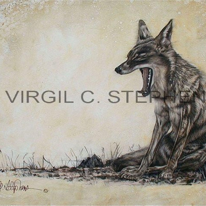 Coyote Art - Etsy