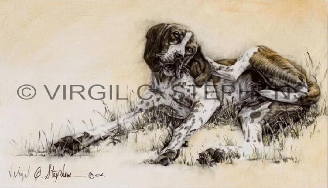 10x18 Hound Dog Art Print | Hunting Dog Pencil Drawing | Rustic Dog ...