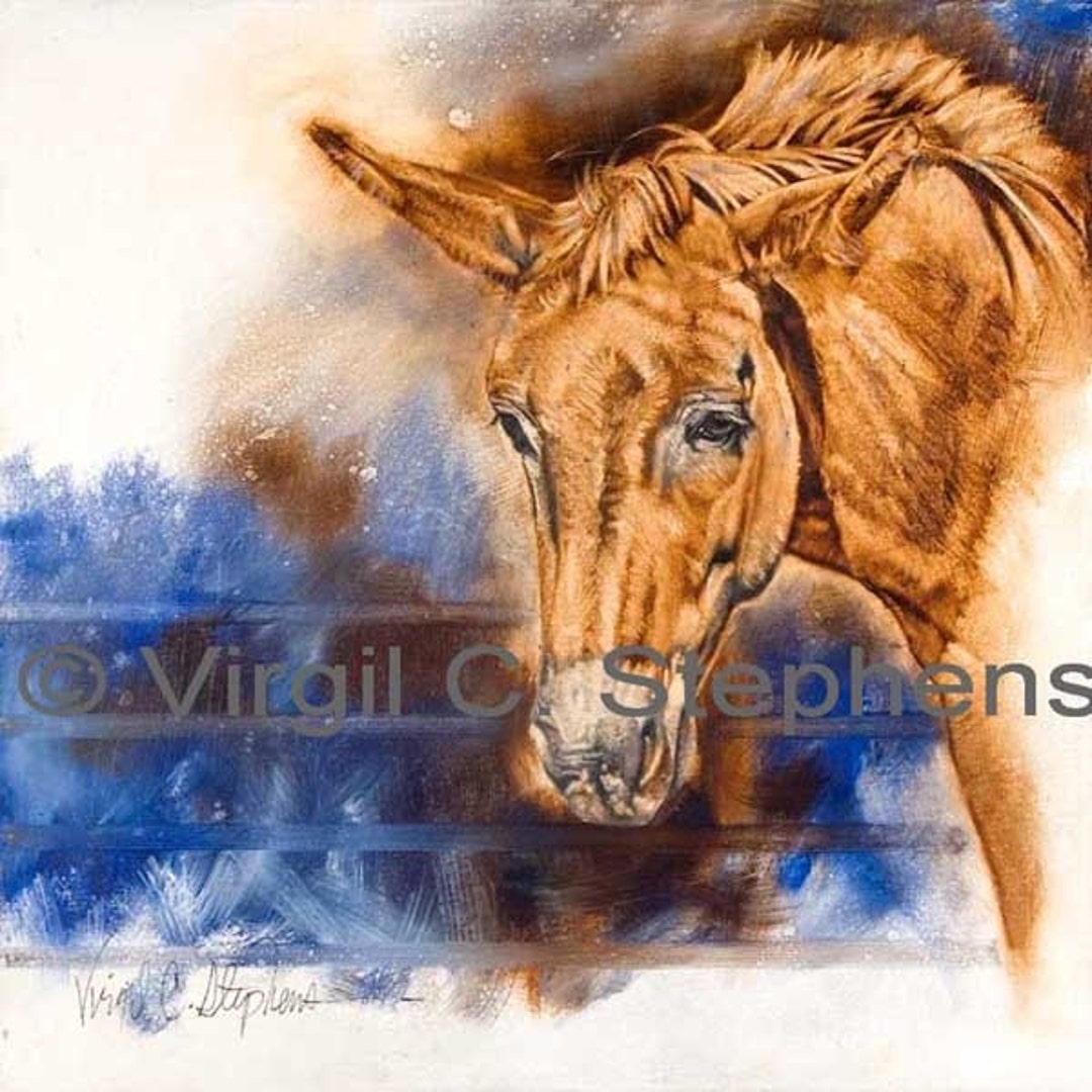 Colorful Mule Wall Art – Rustic Country Farm Animal Print – Bold ...