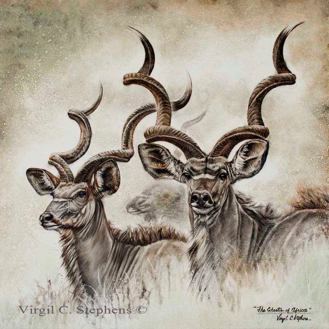 Kudu Antelope Art Print – African Wildlife Wall Decor – Spiral Horn ...