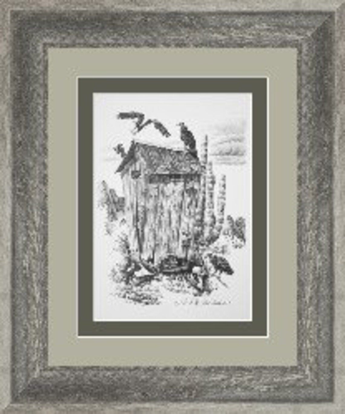 Outhouse Art, Buzzards Roost, Outhouse Drawing of a Bunch of Buzzards ...