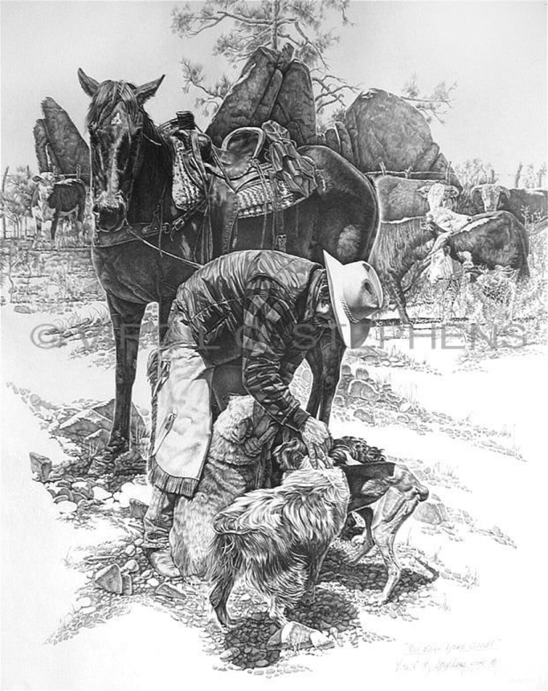 Cowboy Art, You Boys Done Good, Drawing of a Cowboy Praising His Dogs ...