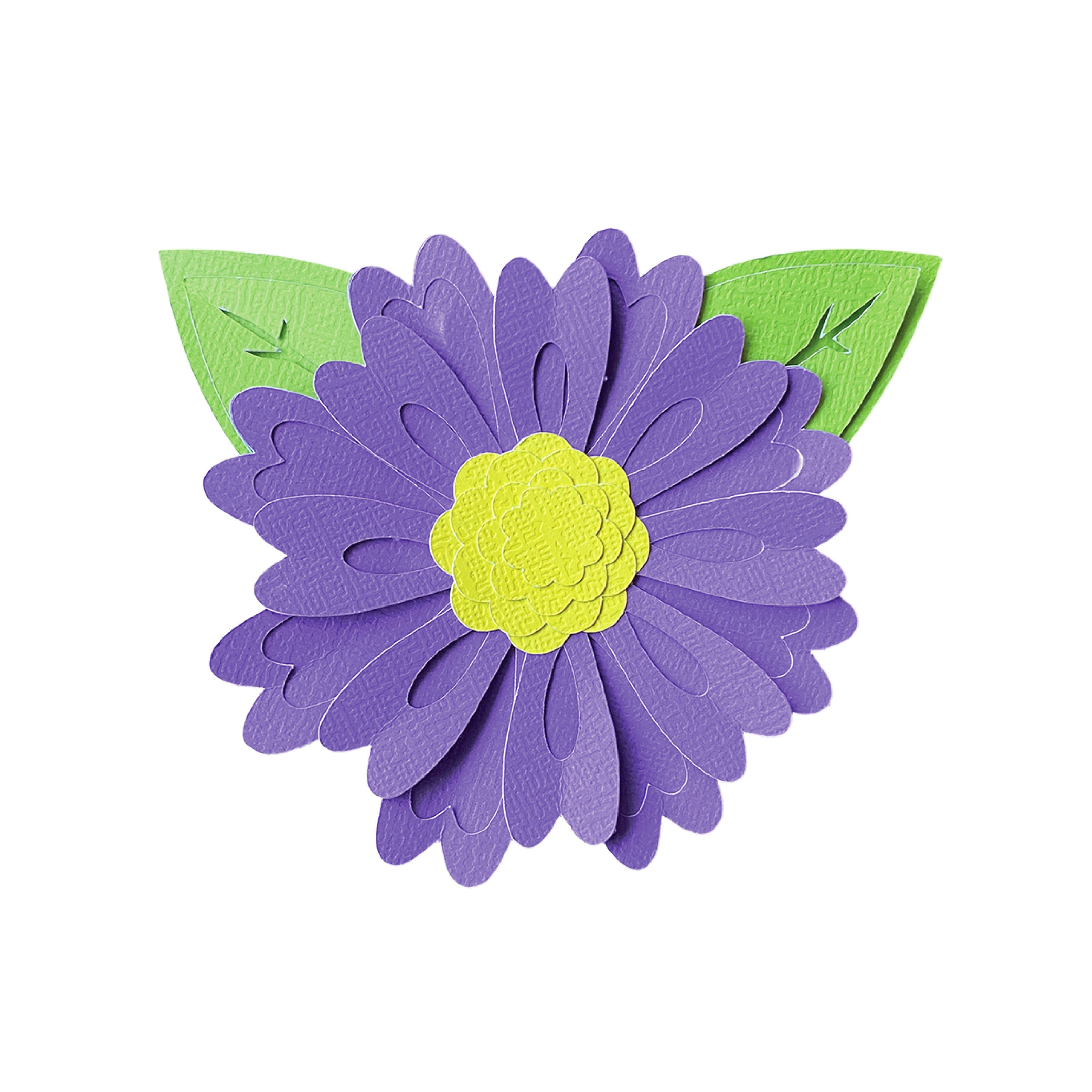 Handmade Paper Flower Cricut SVG Pattern - DIY Flower Pattern ...