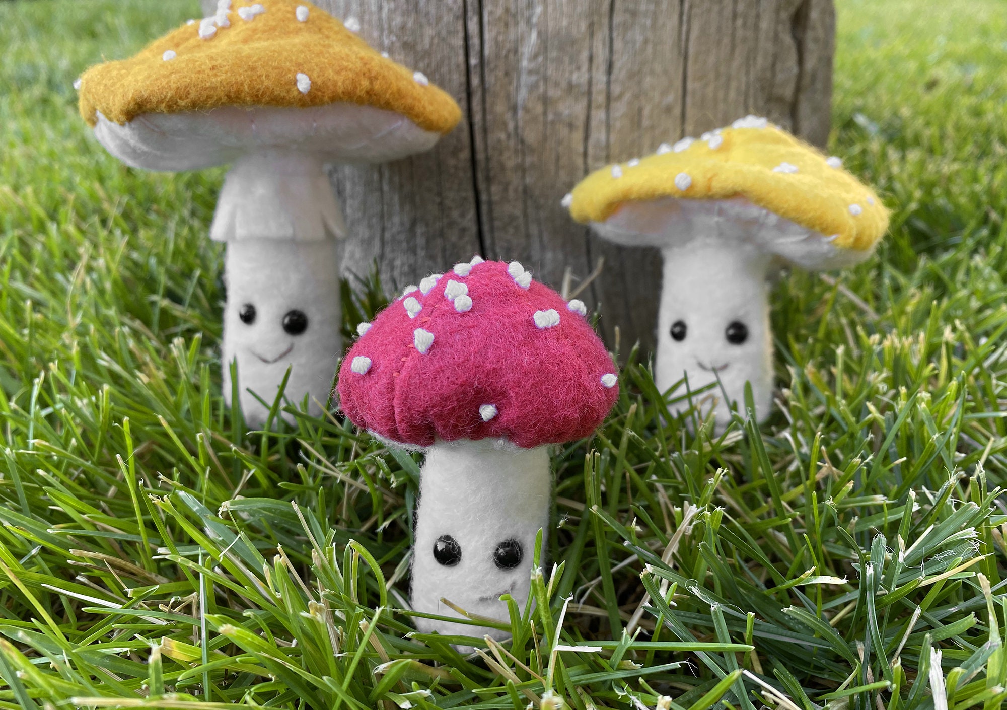 PDF Tutorial: Felt Mushroom Pattern the Amanita's - Etsy