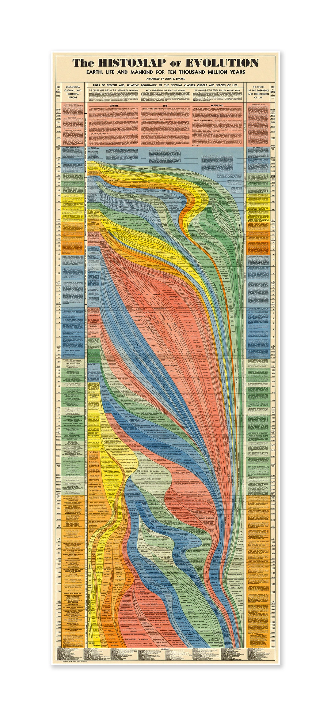 The Histomap of Evolution: the Emergence and Progression of Life ...