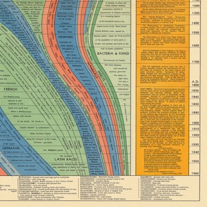 The Histomap of Evolution: the Emergence and Progression of Life ...