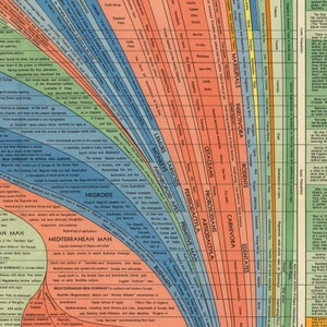 The Histomap of Evolution: the Emergence and Progression of Life ...