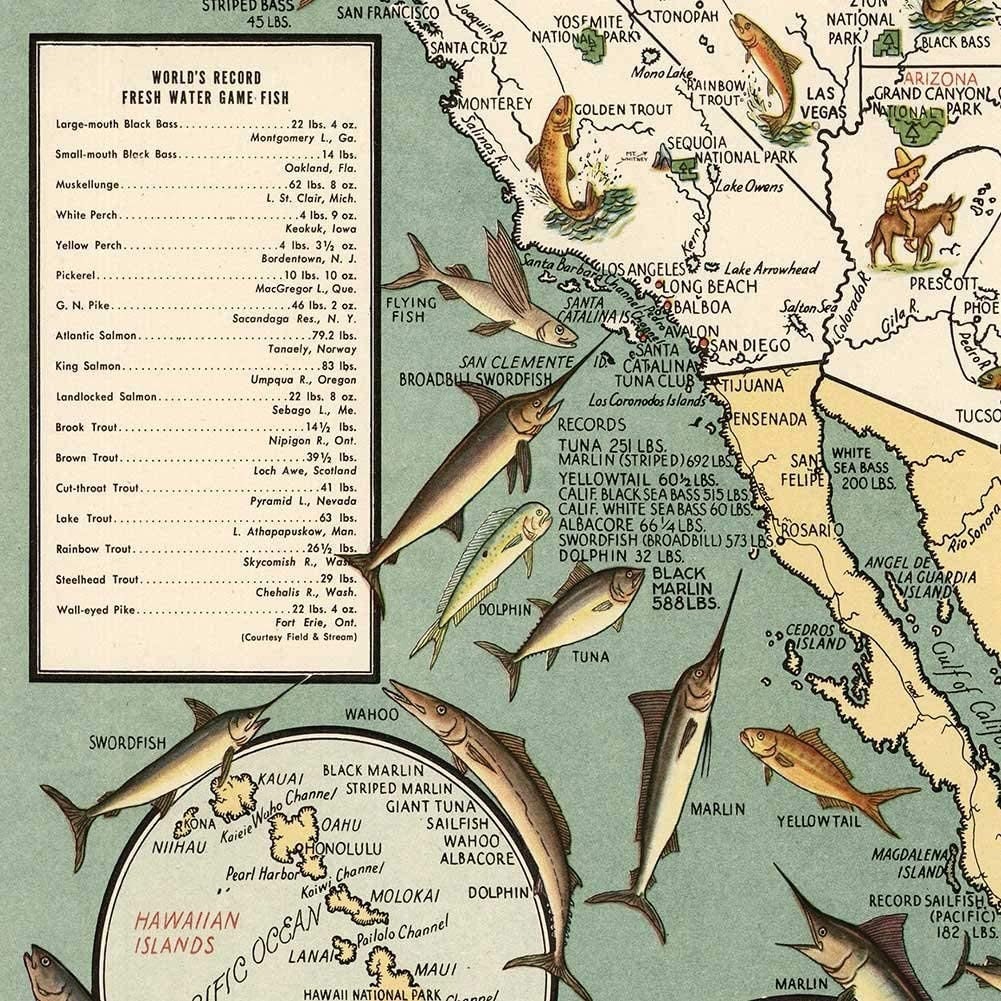 Pictorial Map Print of the Usa's Big Game Fish Circa 1936 | Etsy