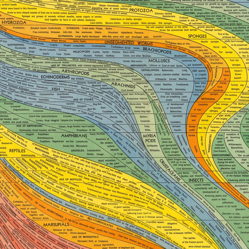 The Histomap of Evolution: Emergence & Progression of Life | Vintage ...