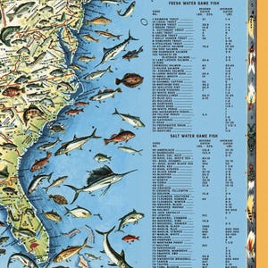Sportsmen's Fishing Map of the United States & Neighboring Waters Circa ...