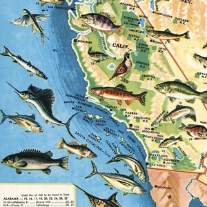 Sportsmen's Fishing Map of the United States and Neighboring Waters ...