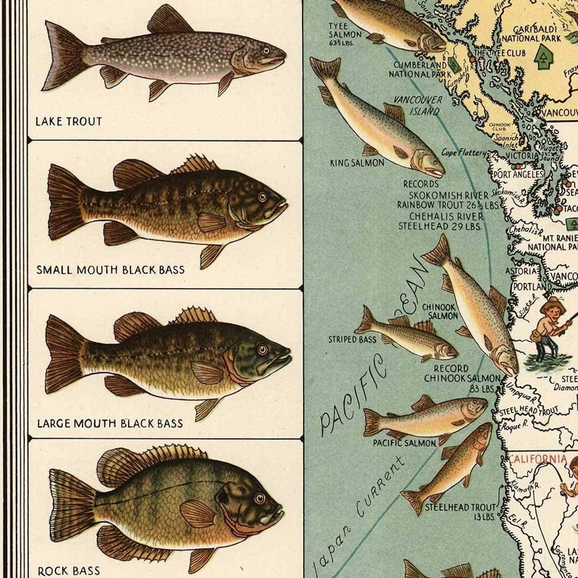 Pictorial Map Print of the Usa's Big Game Fish Circa 1936 | Etsy