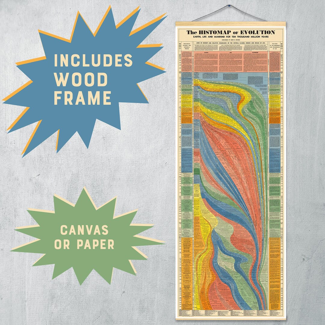 The Histomap of Evolution: Emergence & Progression of Life | Vintage ...