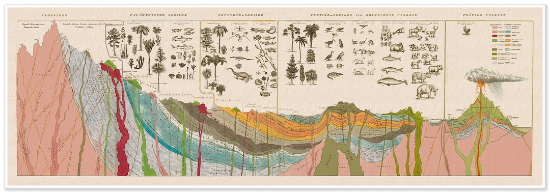 Geology Chart Cross Section Wall Art Print - Merges History of Life on ...