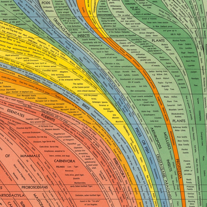 Complete Set of 3 Visual Timelines: the Histomap of 1. World History 2 ...