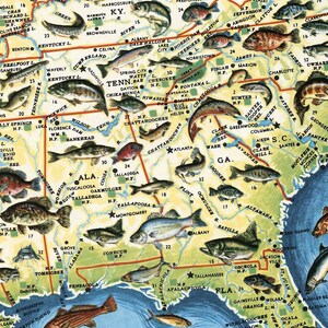 Sportsmen's Fishing Map of the United States and Neighboring Waters ...