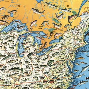 Sportsmen's Fishing Map of the United States & Neighboring Waters Circa ...