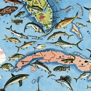Sportsmen's Fishing Map of the United States and Neighboring Waters ...