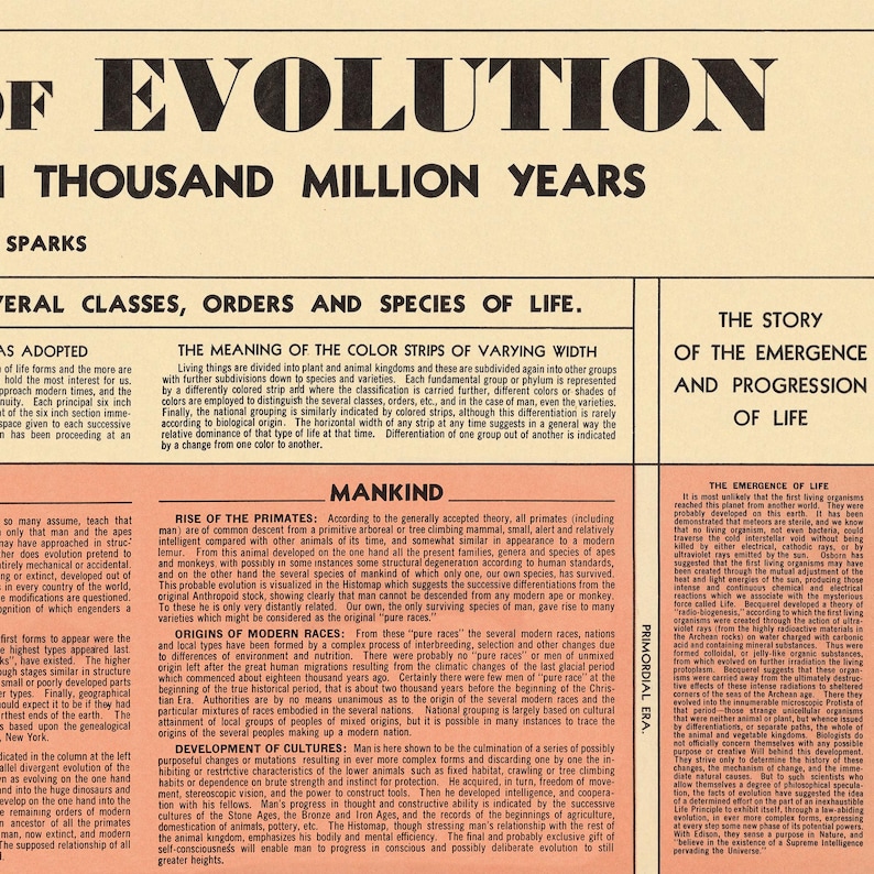 The Histomap of Evolution: Emergence & Progression of Life | Vintage ...