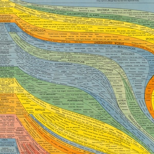 The Histomap of Evolution: the Emergence and Progression of Life ...