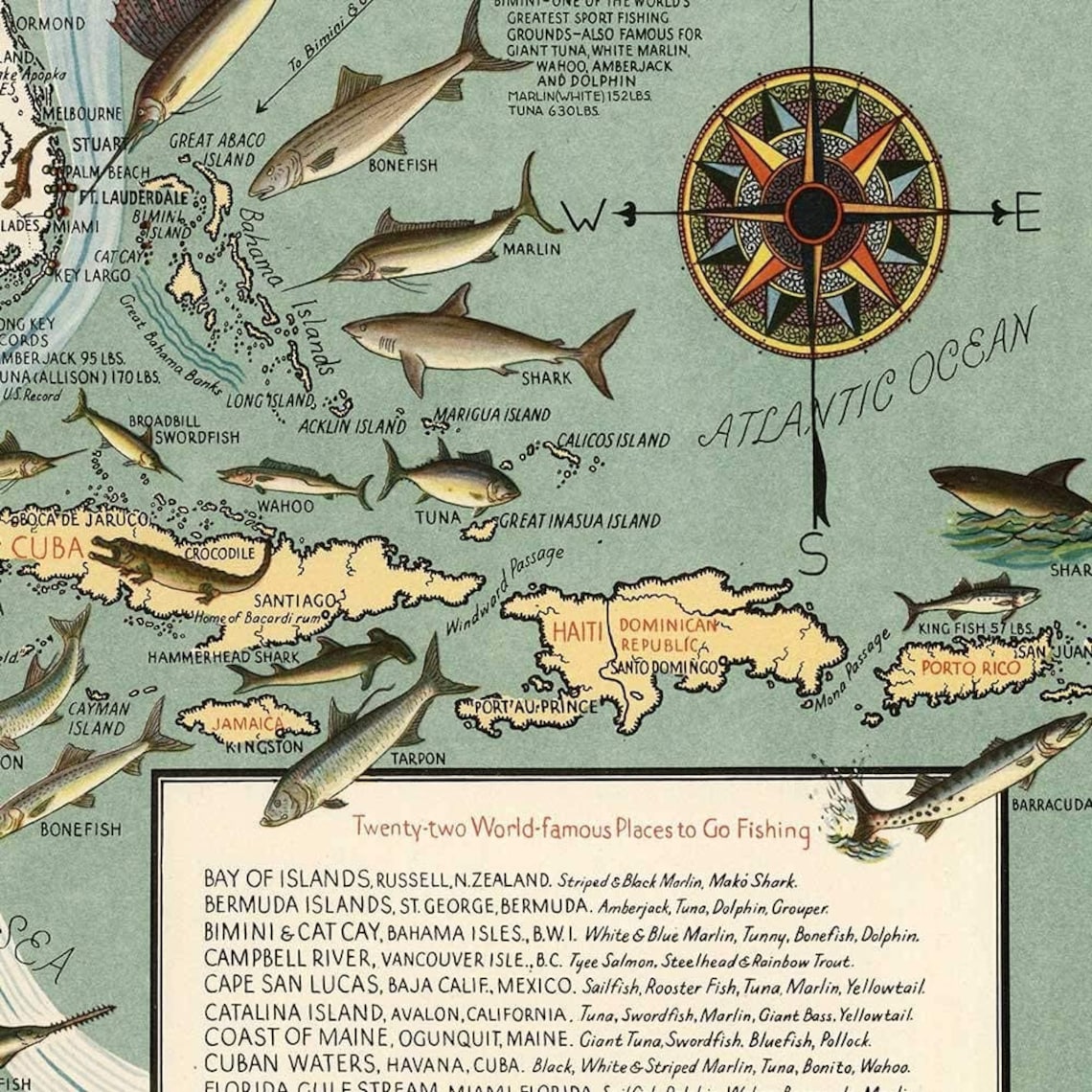 Pictorial Map Print of the Usa's Big Game Fish Circa 1936 | Etsy