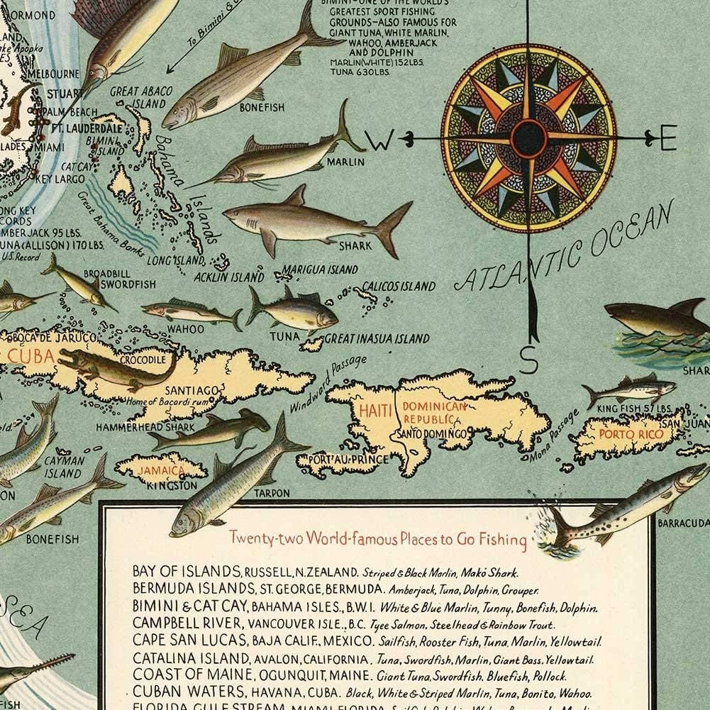 Pictorial Map Print of the Usa's Big Game Fish Circa 1936 - Fishing Art ...