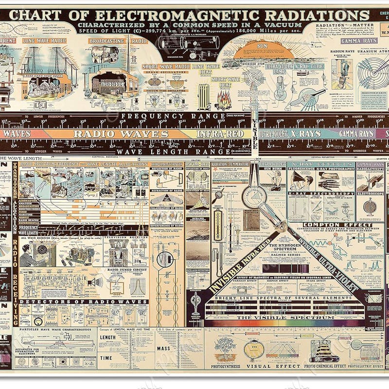 Vintage School Chart - Etsy