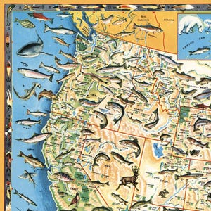 Sportsmen's Fishing Map of the United States & Neighboring Waters Circa ...