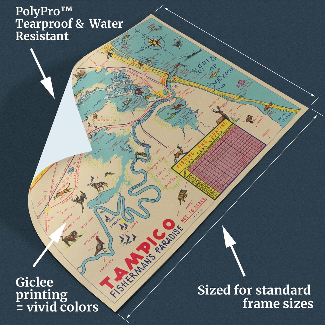 Tampico Tamaulipas Mexico Map Patronato De Turismo De | Etsy