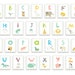 Animal Alphabet Wall Cards Alphabet Nursery Decor Nature - Etsy
