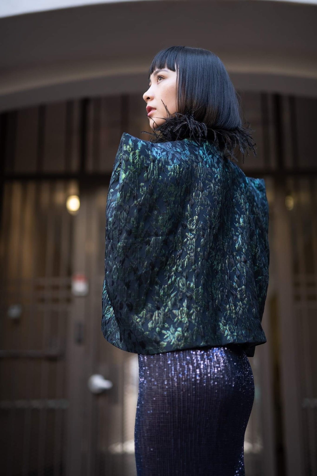 Cape/capelette/brocade Cape/shawl/stole/cloak/wrap/serape/jacket/coat ...