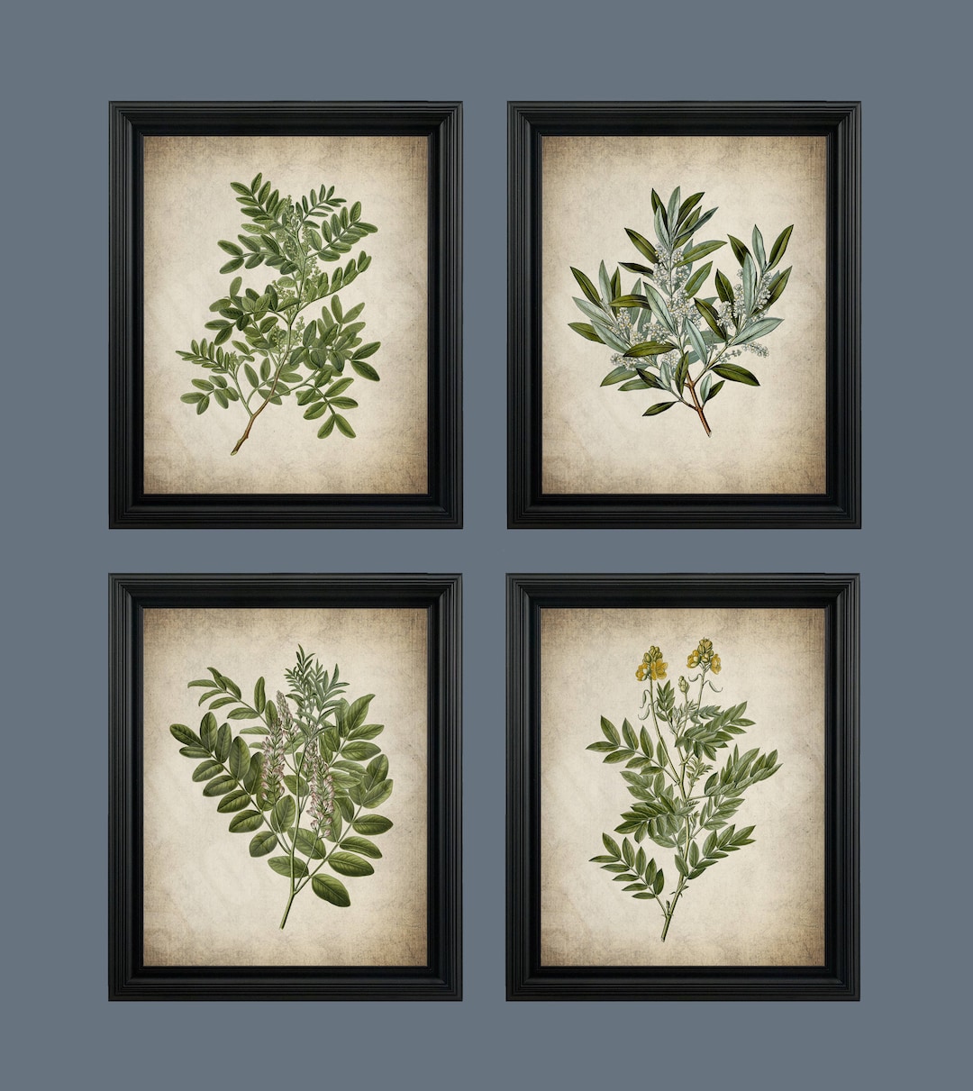 Botanical Print Vintage Plant Print Green Leaves Botanical Wall Art ...