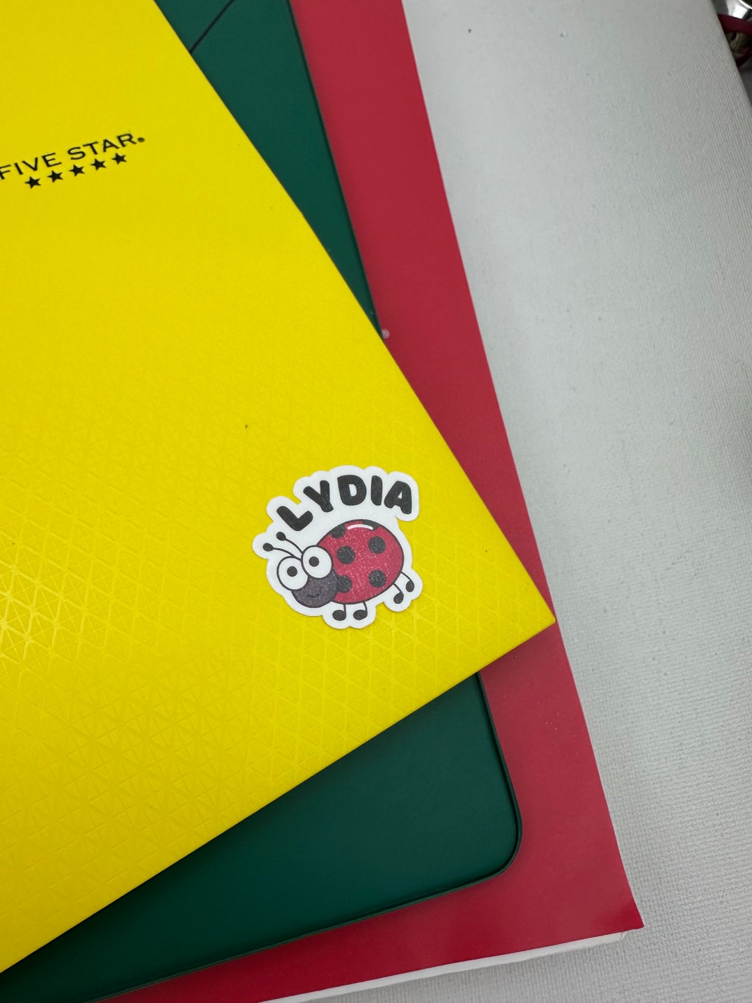 Preschool Girl Name Stickers With Ladybugs to Label School Supplies ...