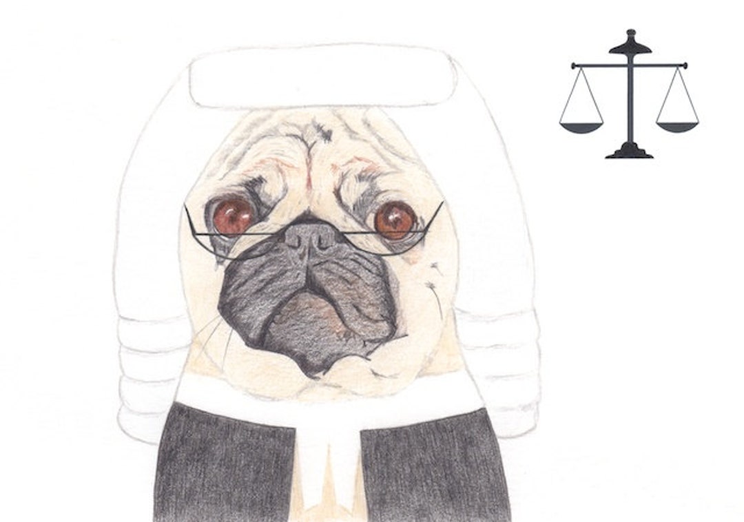 Pug Judge Birthday Card Pug Lovers Card Funny Pug Birthday Card - Etsy