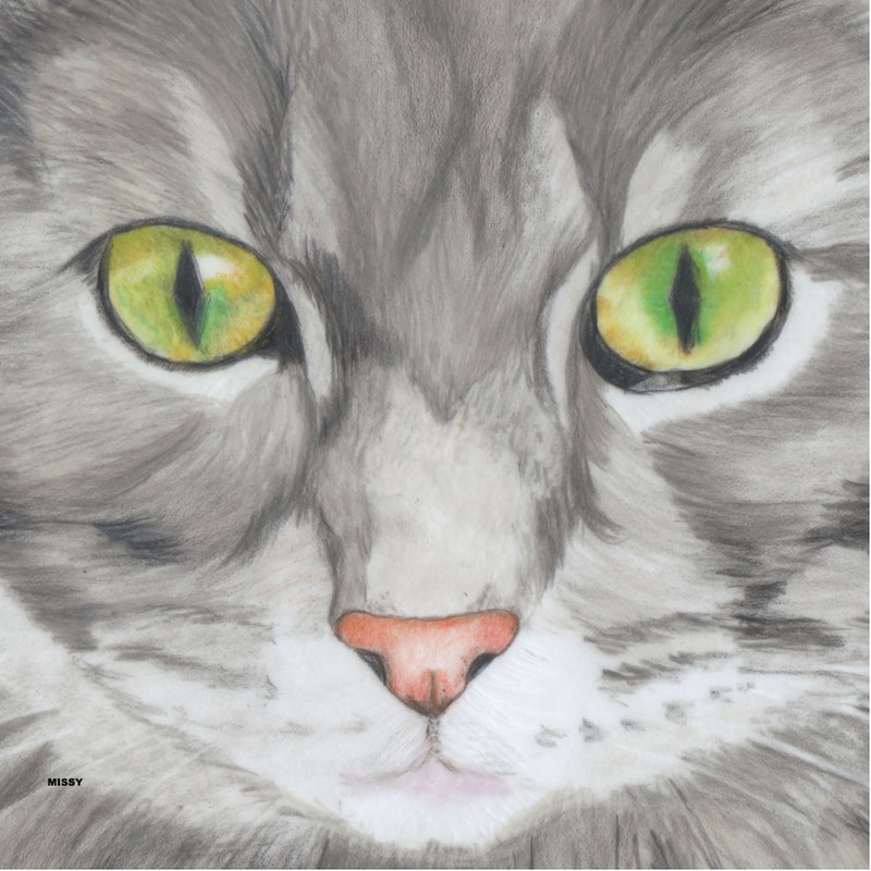 BlackCatStudioArt - Etsy
