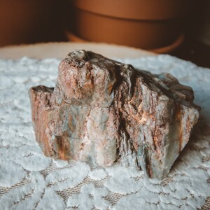 Hampton Butte Petrified Wood Jasper Fossilized Wood Oldstock Lapidary ...