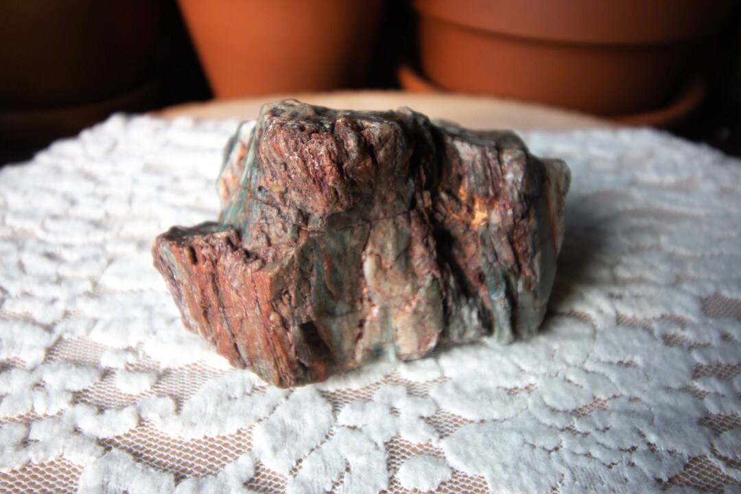 Hampton Butte Petrified Wood Jasper Fossilized Wood Oldstock Lapidary ...