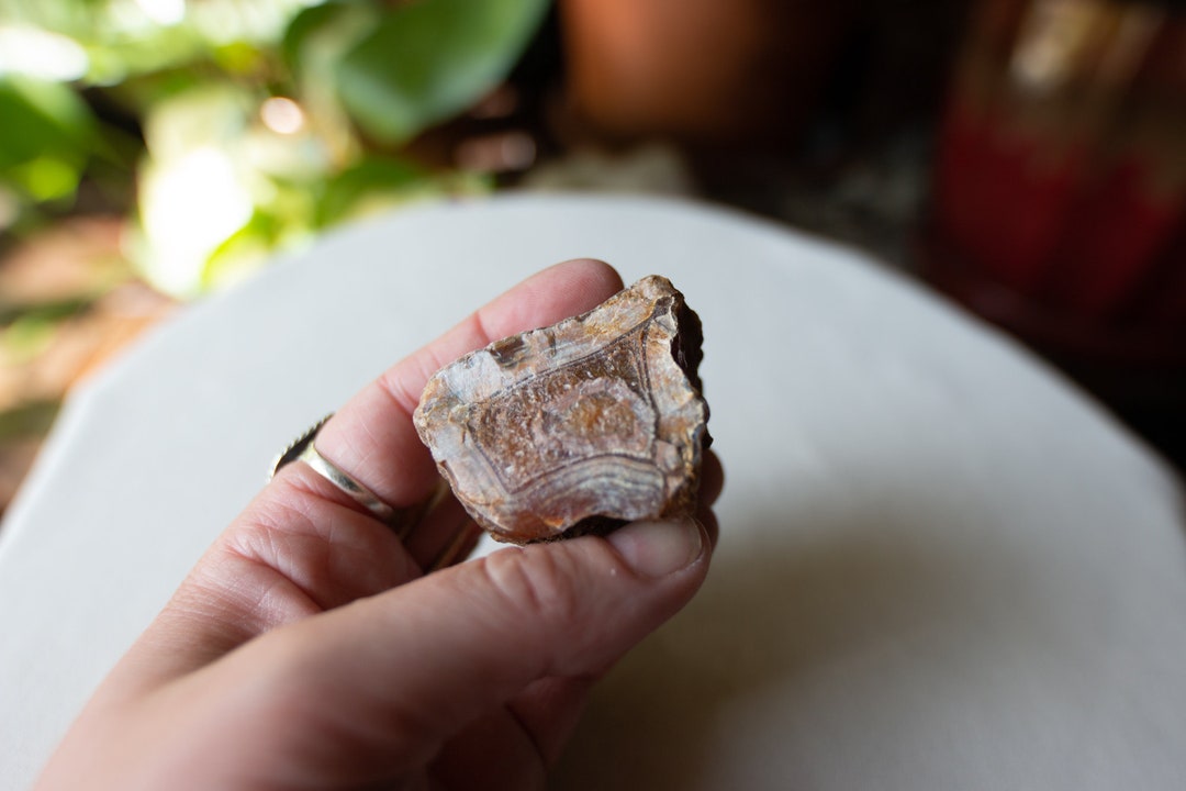 Rare Pink Carnelian Crystal Specimen Wild Mountain Oregon Carnelian ...