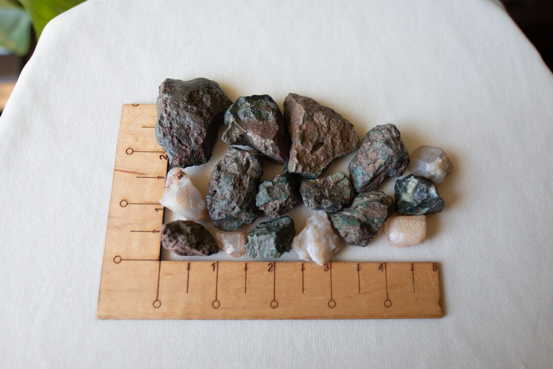 Hampton Butte Petrified Wood Jasper Fossilized Wood Oldstock Lapidary ...