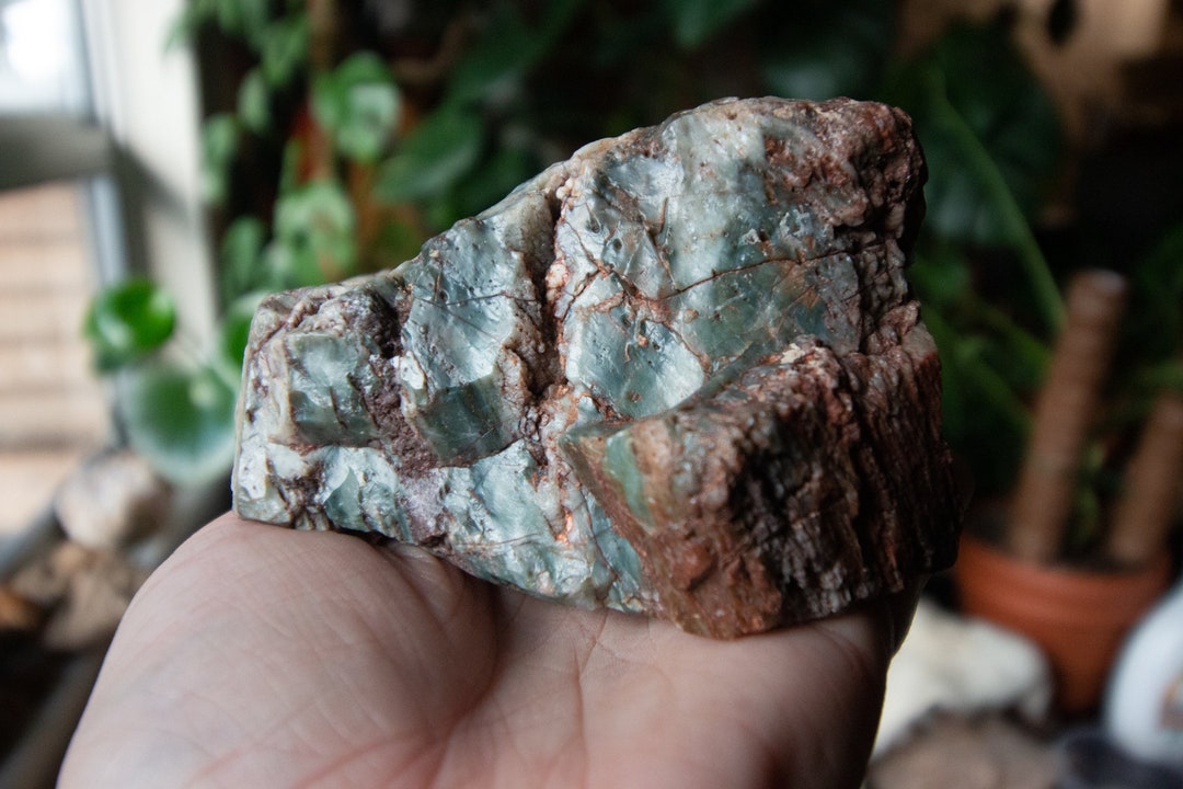 Hampton Butte Petrified Wood Jasper Fossilized Wood Oldstock Lapidary ...