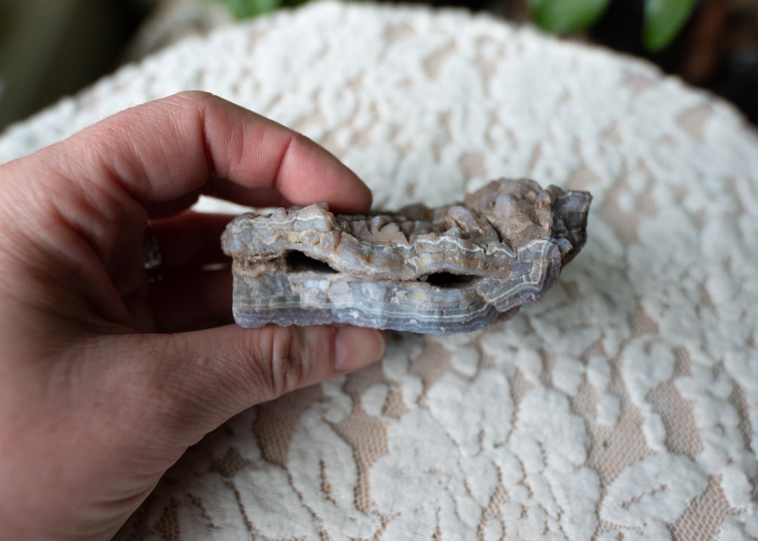 Rare Holly Blue Agate Oregon Rough Holly Blue Agate Raw Specimen ...