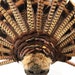 Sun Warrior Turkey & Pheasant Feather Masquerade Mask - Etsy
