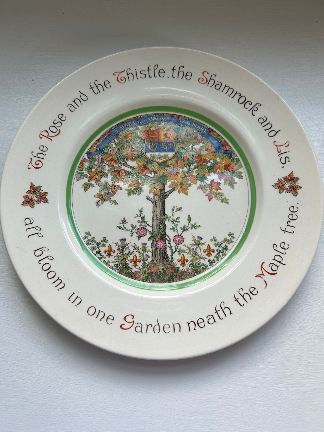 Vintage Irish Plate - Etsy