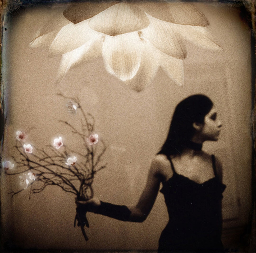 Lilli and the Lotus- 5x5 In. Print - Etsy