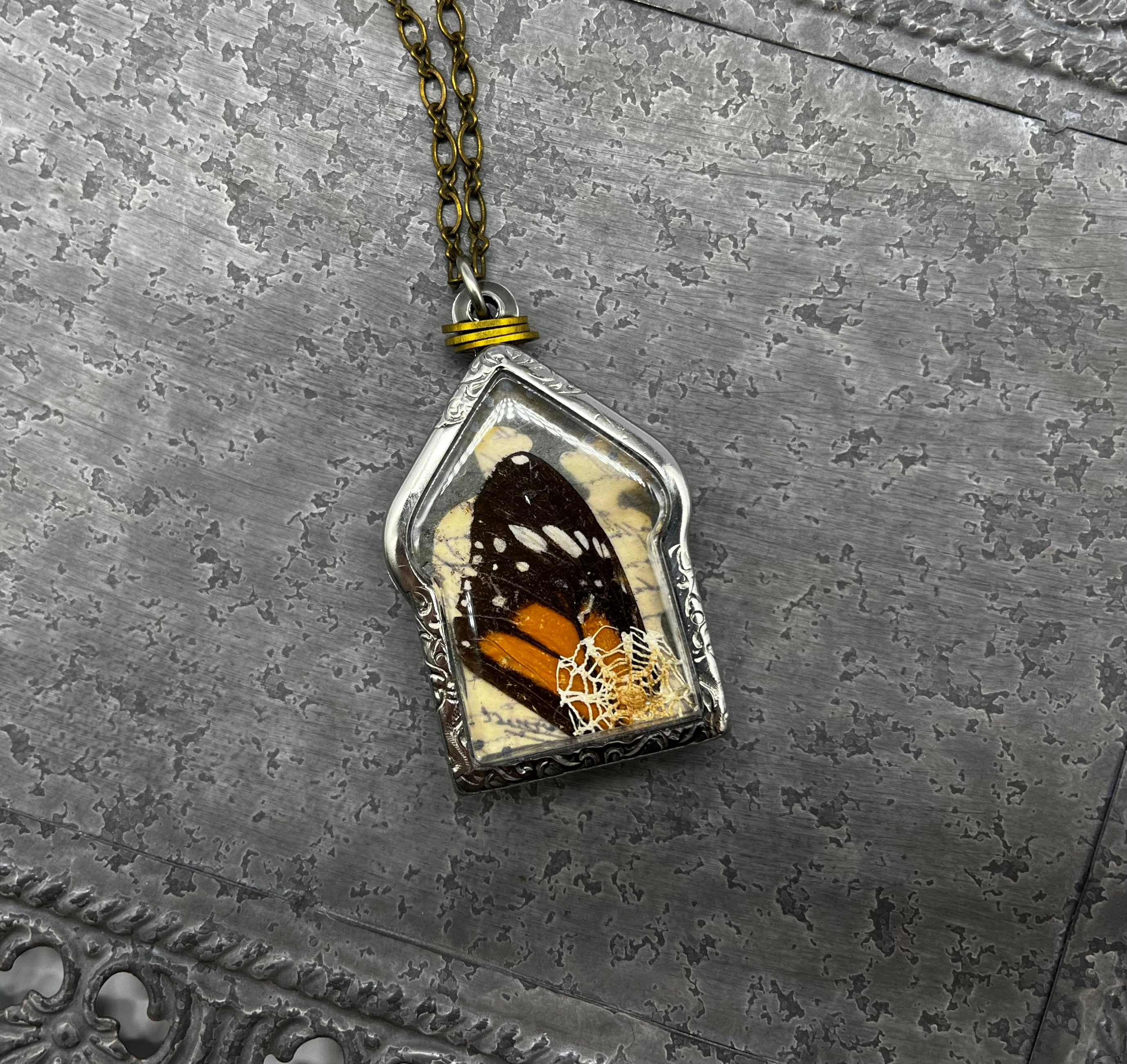 Wearable Museum Diorama Necklace by Anvilartifacts With Butterfly Wing ...