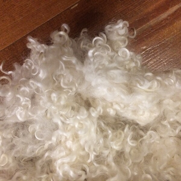 Wool Locks - Etsy