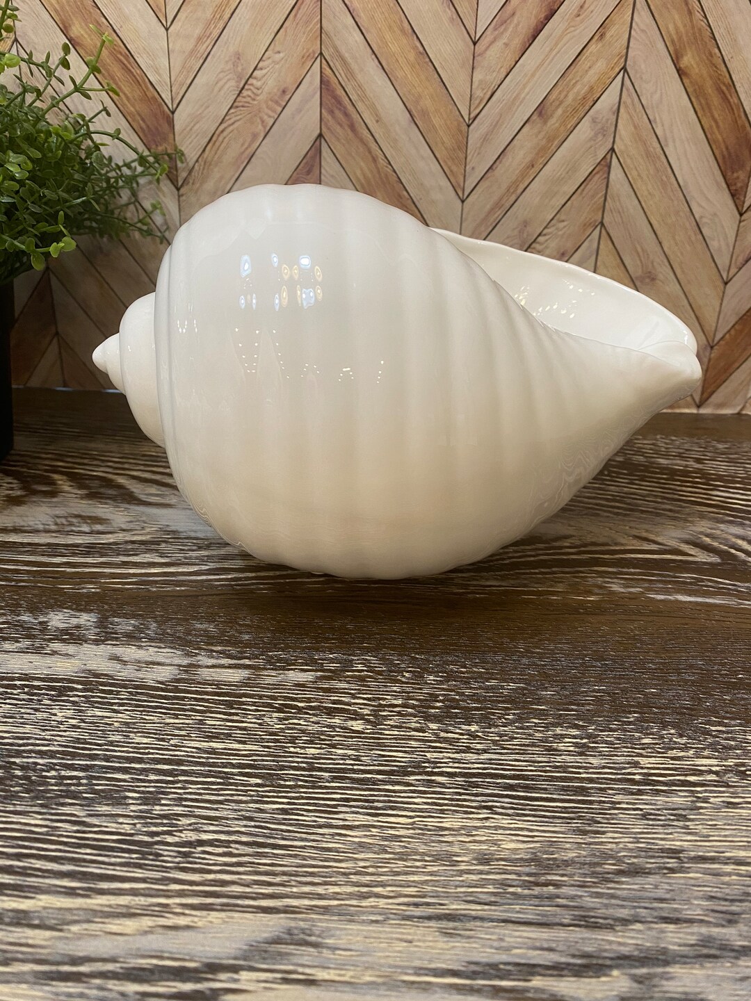 Vintage Wedgwood Conch Shell Bowl Centerpiece Nautilus Collection ...